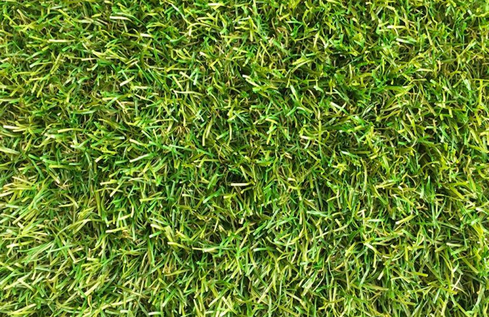 Synthetic grass RG Wave